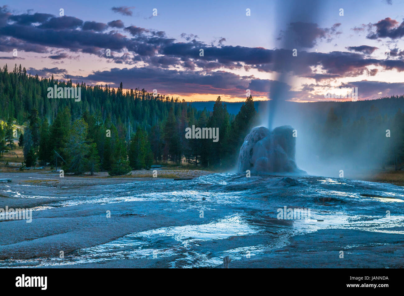 Spectacular Lone Star Geyser during Eruption - Yellowstone Stock Photo ...