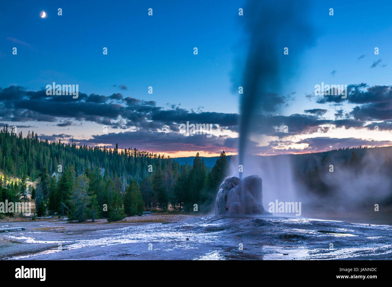 Spectacular Lone Star Geyser during Eruption - Yellowstone Stock Photo ...