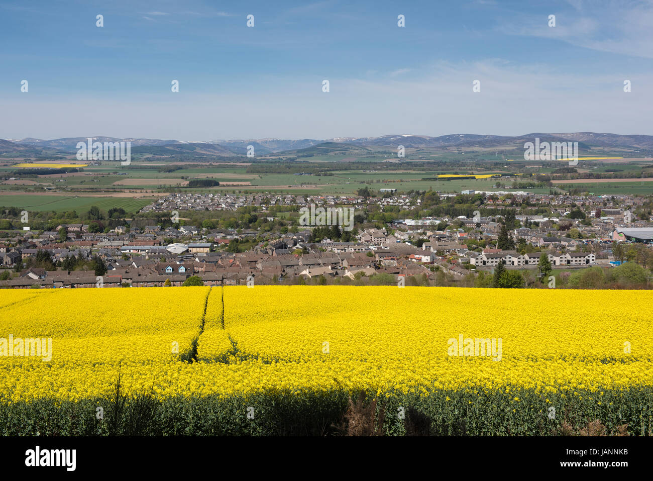 View over Forfar and the Angus Glens from Balmashanner Hill Stock Photo ...