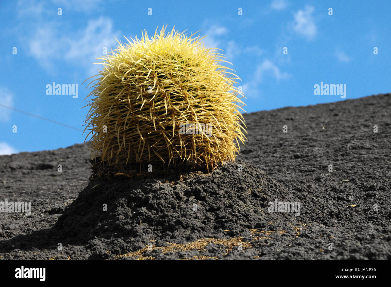 Ac21 hi-res stock photography and images - Alamy