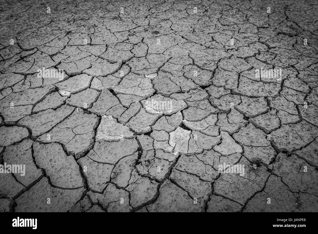 Close up dried dry Black and White Stock Photos & Images - Alamy