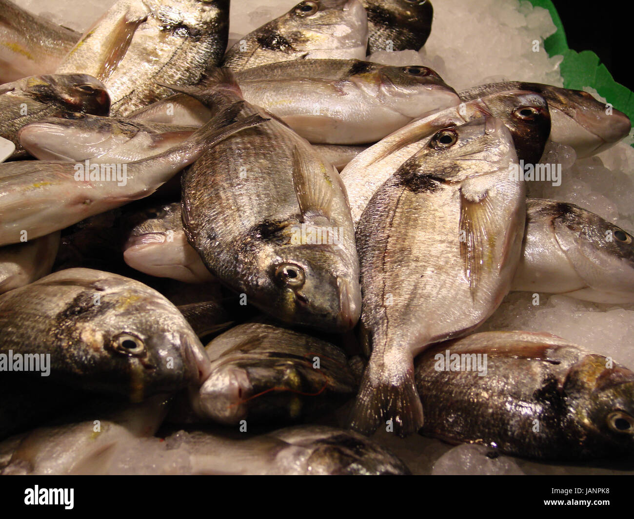 fish stall with fresh fishes lying one another Stock Photo - Alamy