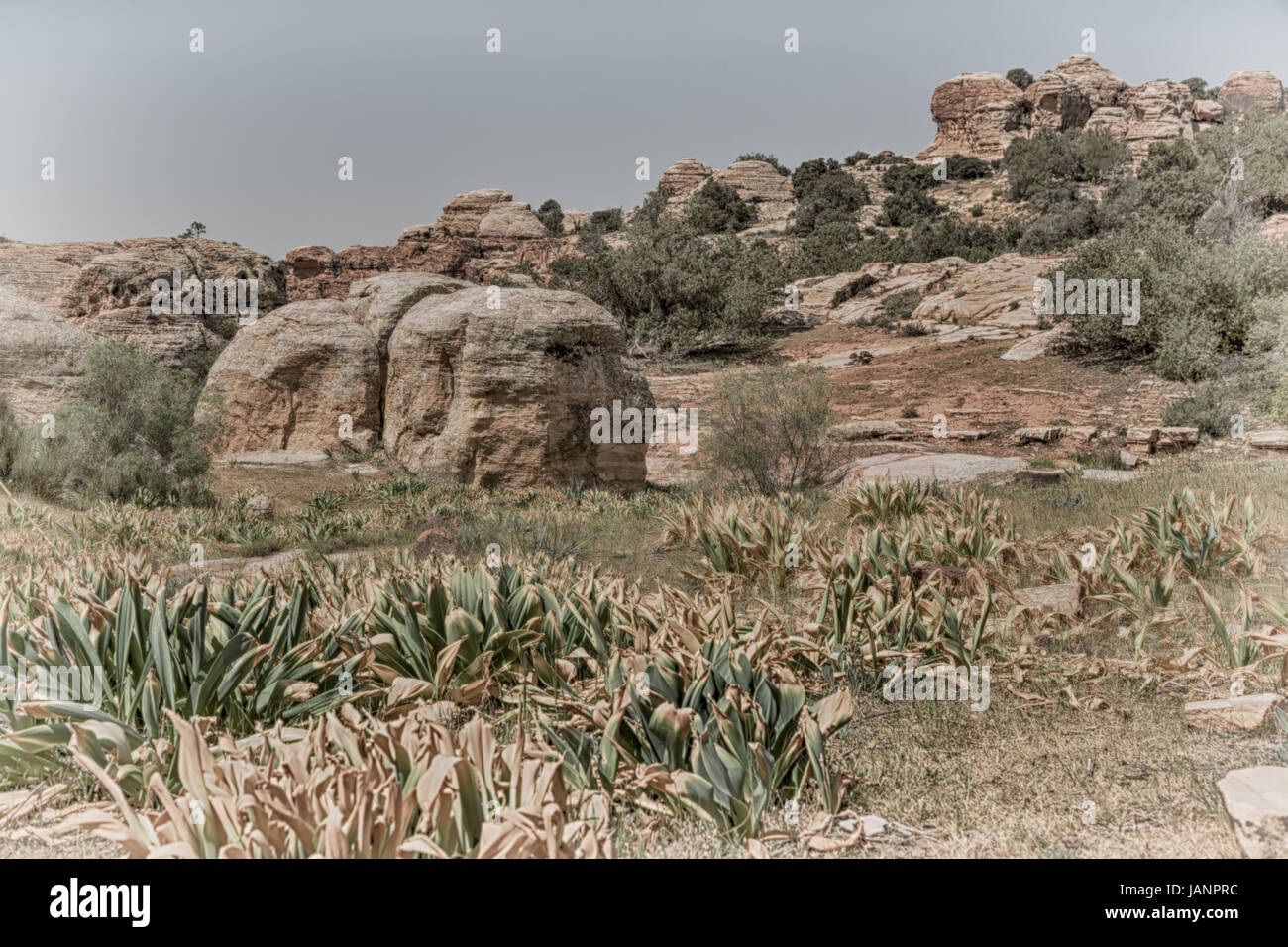 in jordan the scenic valley of dana natural reserve for walking Stock ...