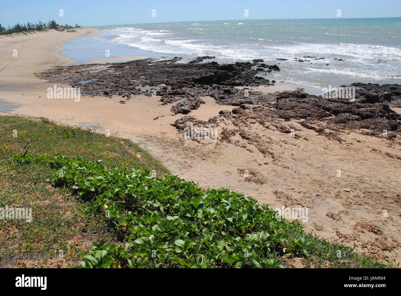 the beach seashore Stock Photo - Alamy