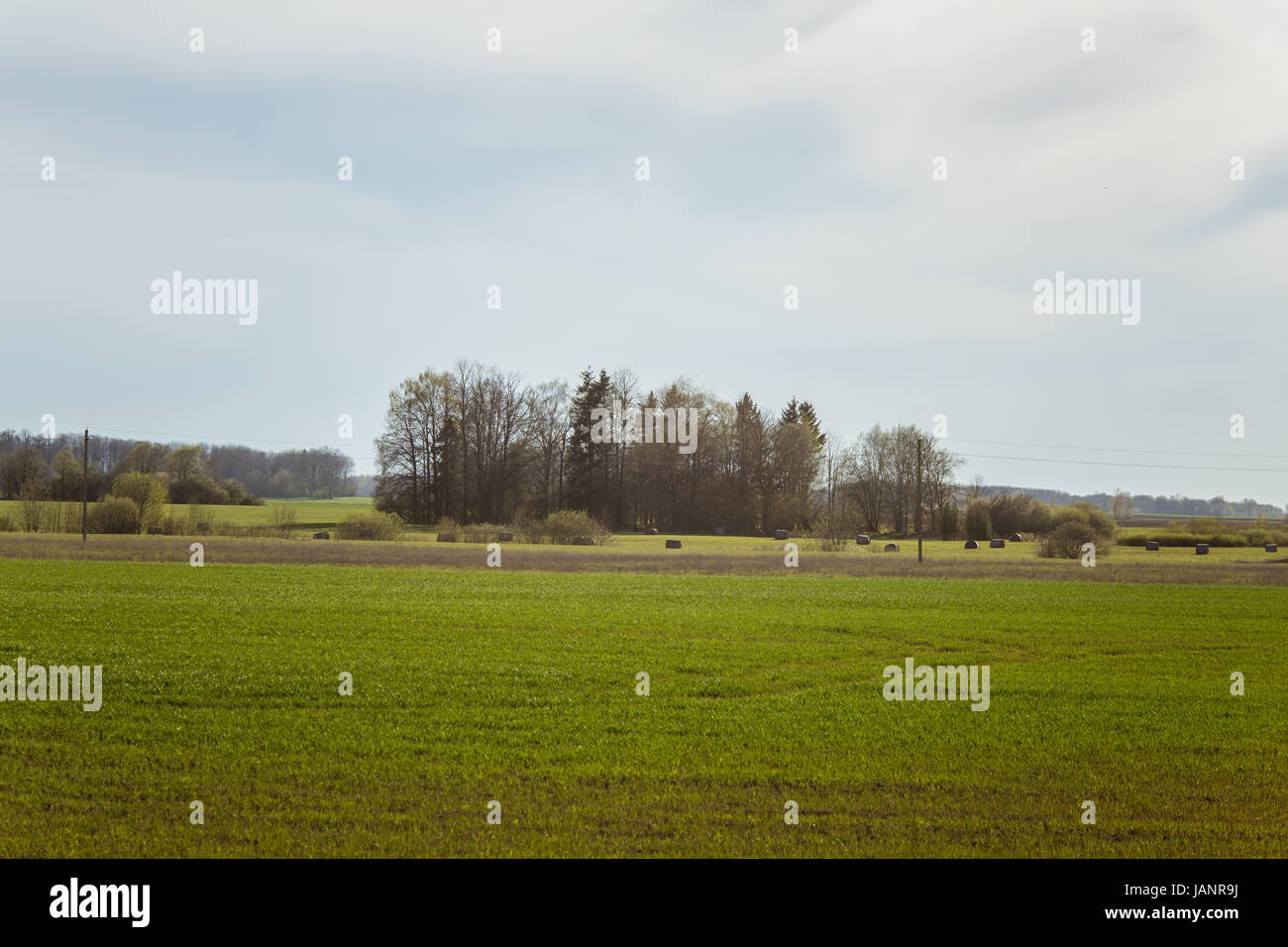 A beautiful spring landscape in a sunny day in Northern Europe Stock ...