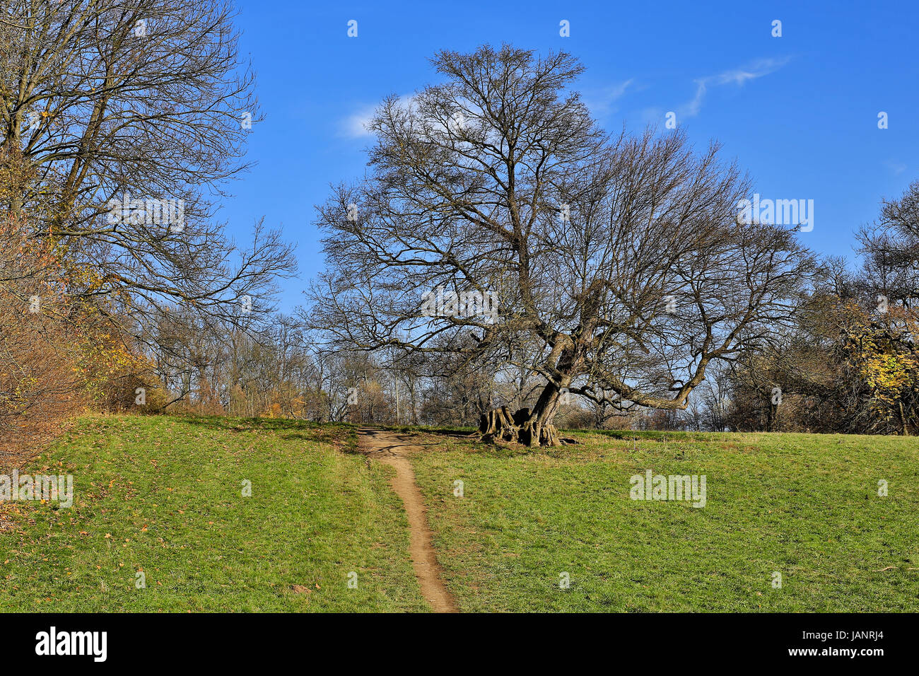 Auf einer wiese mit herbst hi-res stock photography and images - Alamy