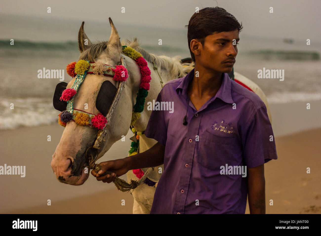 Indian man and horse hi-res stock photography and images - Alamy