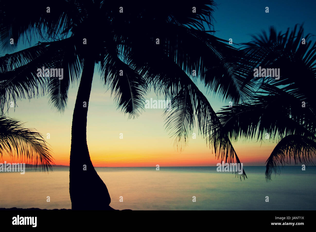Palm trees luzon philippines hi-res stock photography and images - Alamy