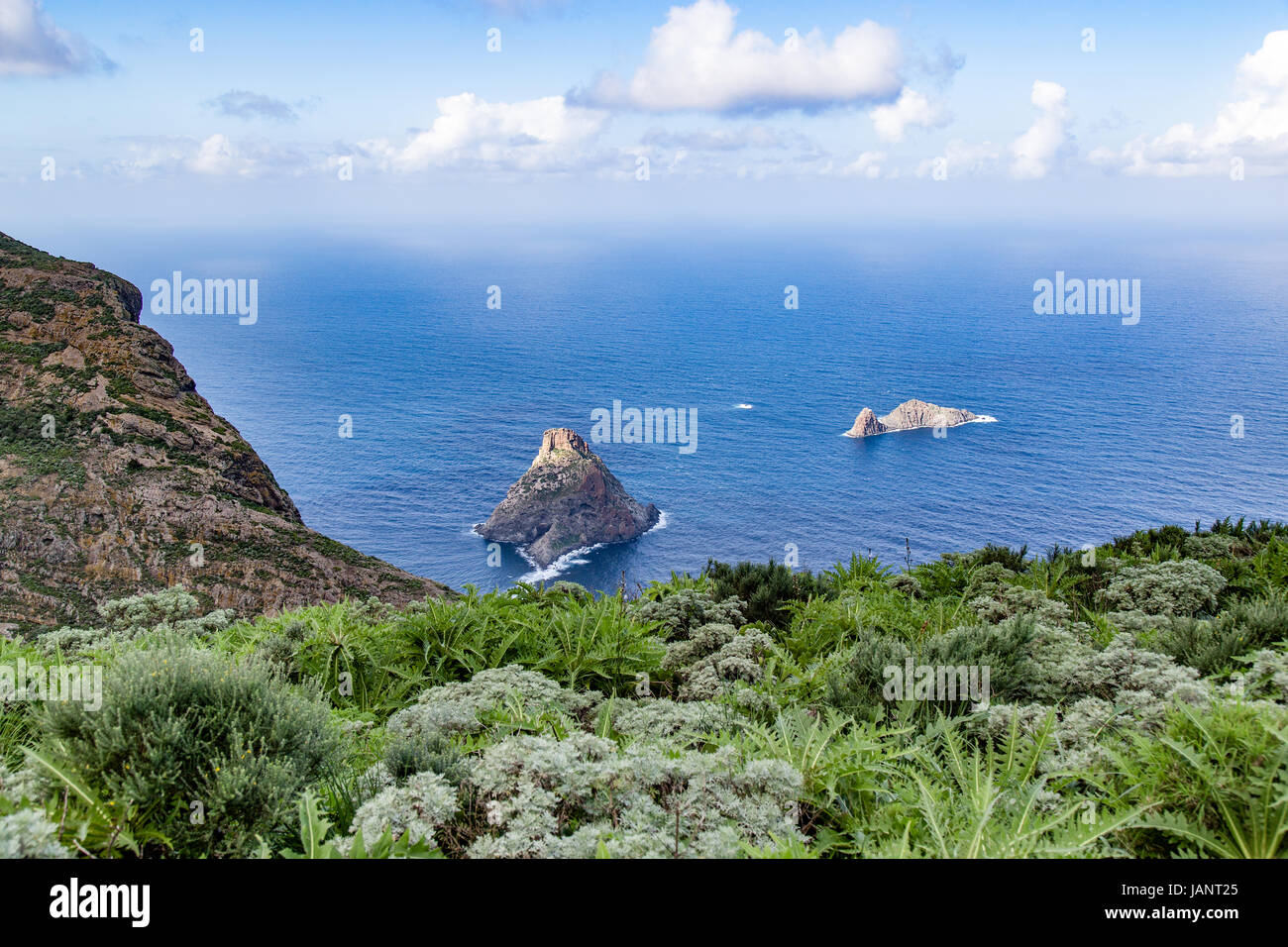 The Anaga Mountains Nature Park, Canary Islands, Rocks, plants, sea and ...