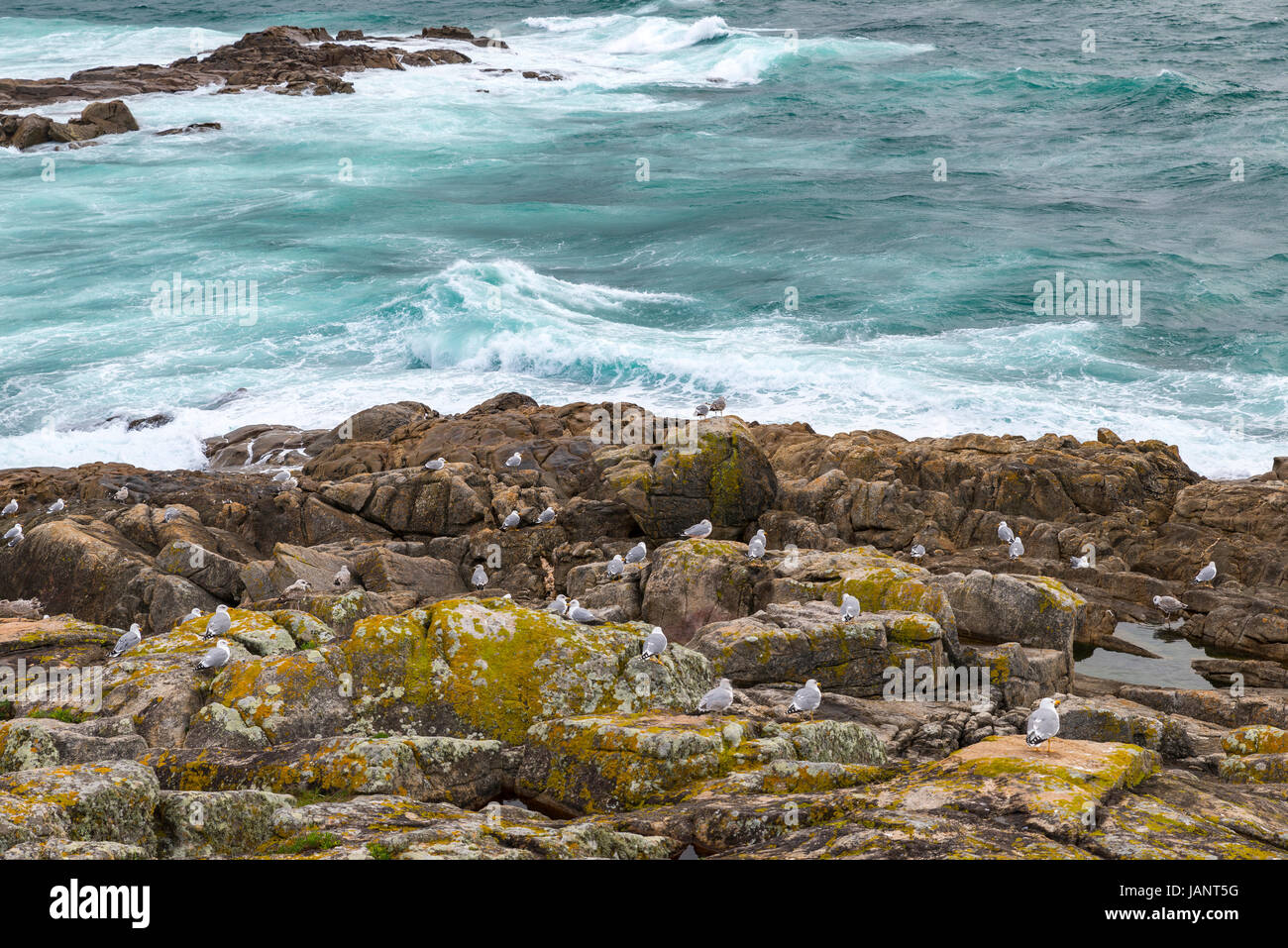 Monte rio beach hi-res stock photography and images - Alamy