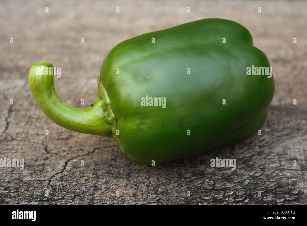 Home Grown Green Capsicum Stock Photo - Alamy
