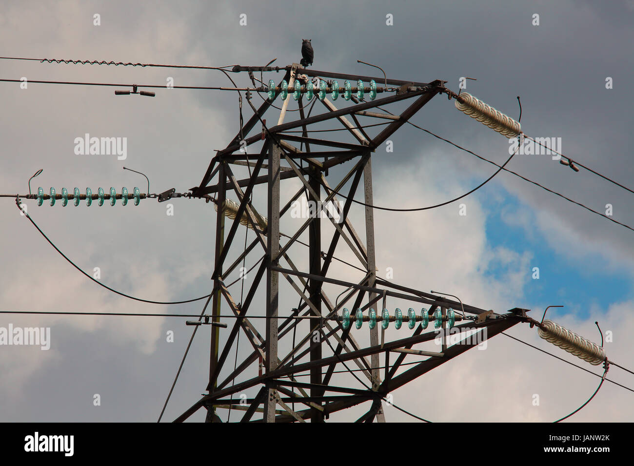 A plastic Owl mounted high up on a National Grid high tension pylon in ...
