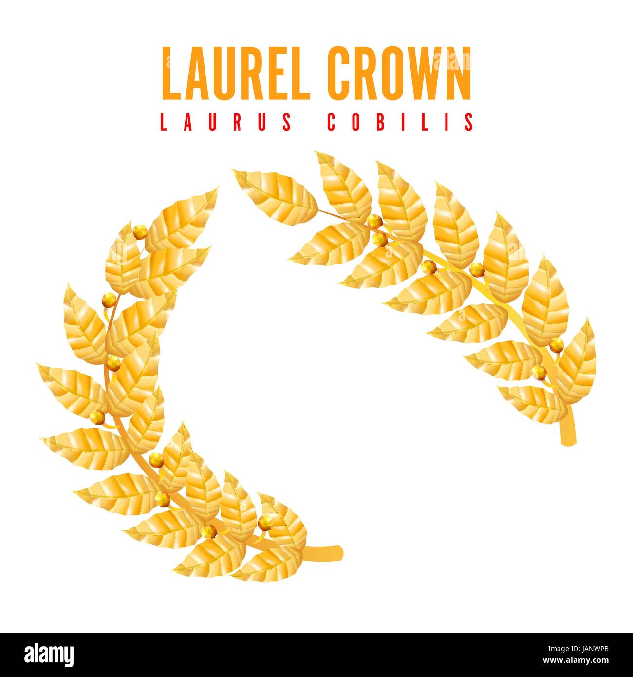 Laurel Crown. Greek Wreath With Golden Leaves. Vector Illustration ...