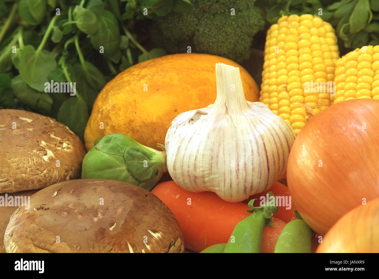 Garden Fresh Foods and Vegetables Grown and Ripe Stock Photo - Alamy