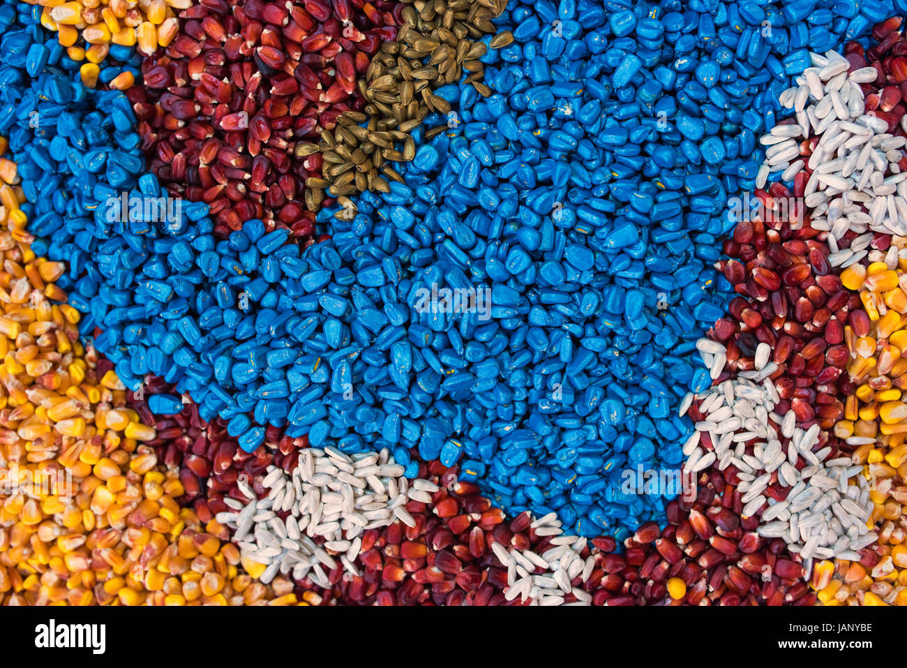 Treated seed hi-res stock photography and images - Alamy