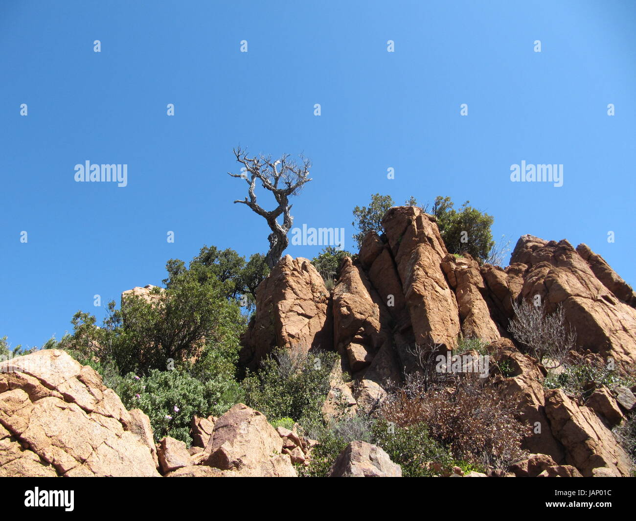 Cannes esterel mountains france hi-res stock photography and images - Alamy