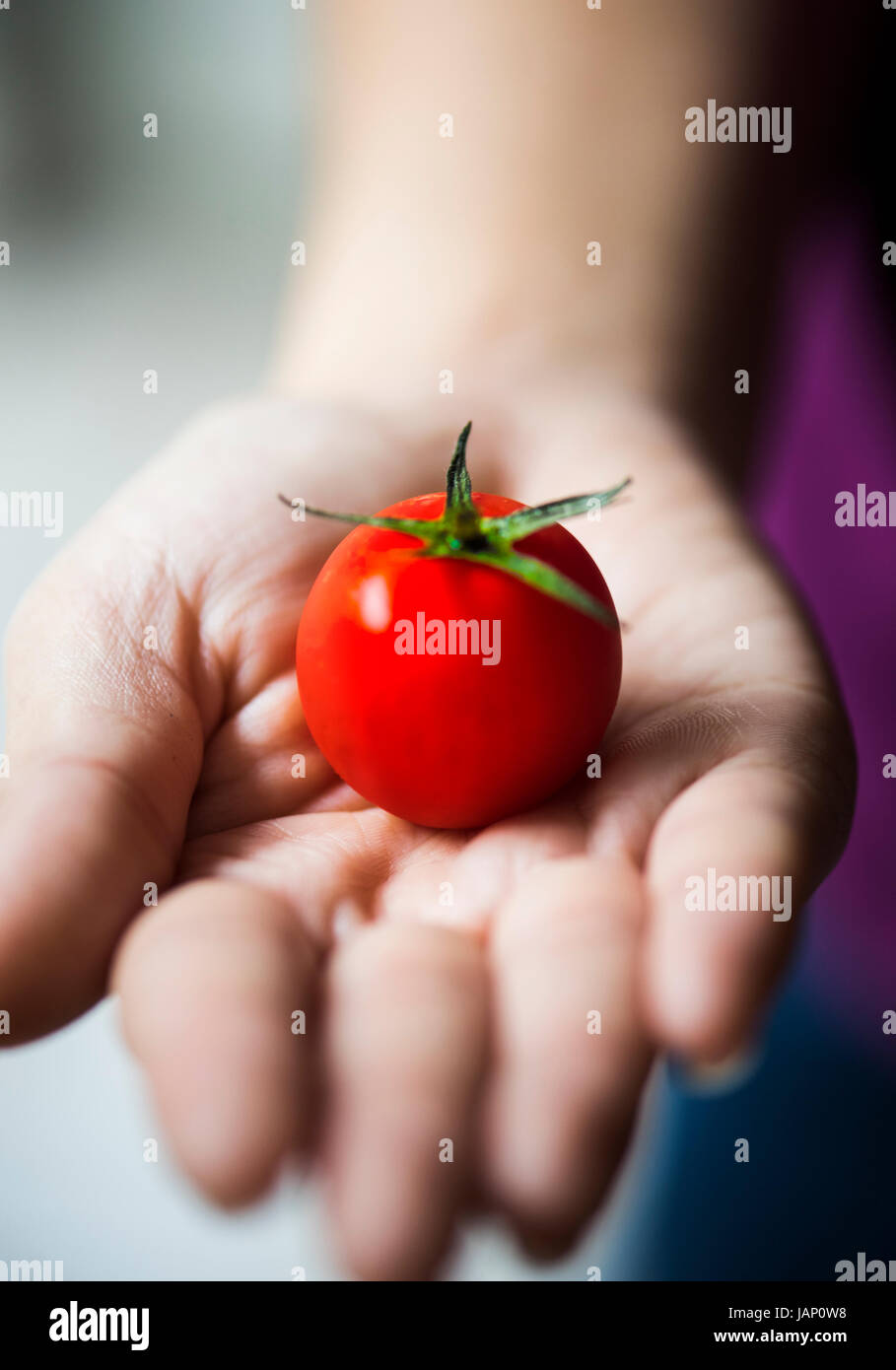 Fresh natural tomato on a hand Stock Photo - Alamy