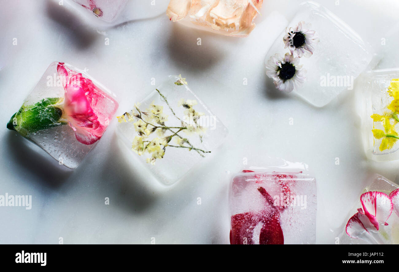 Cube ice with flower inside Stock Photo - Alamy