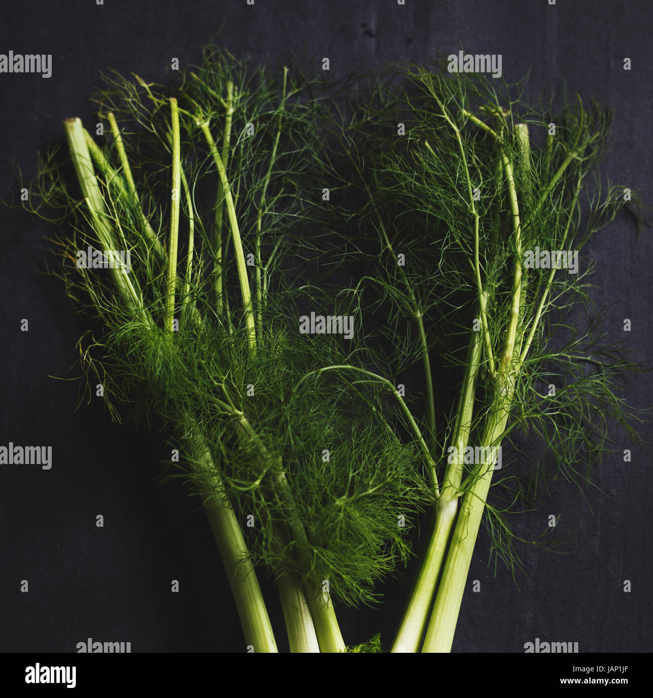 Aerial view of fresh funnel leaf vegetable on black background Stock ...