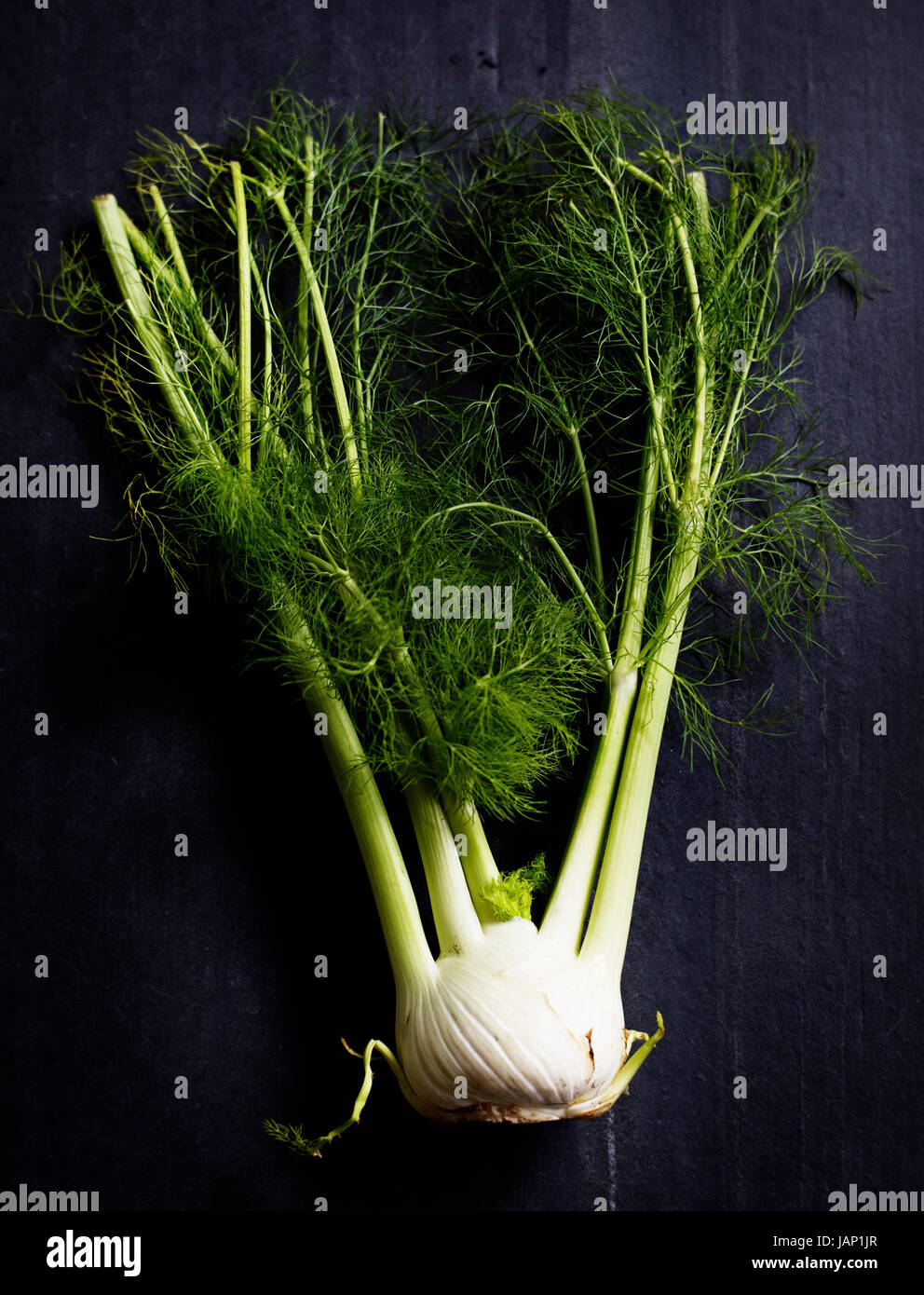 Aerial view of fresh funnel vegetable on black background Stock Photo ...