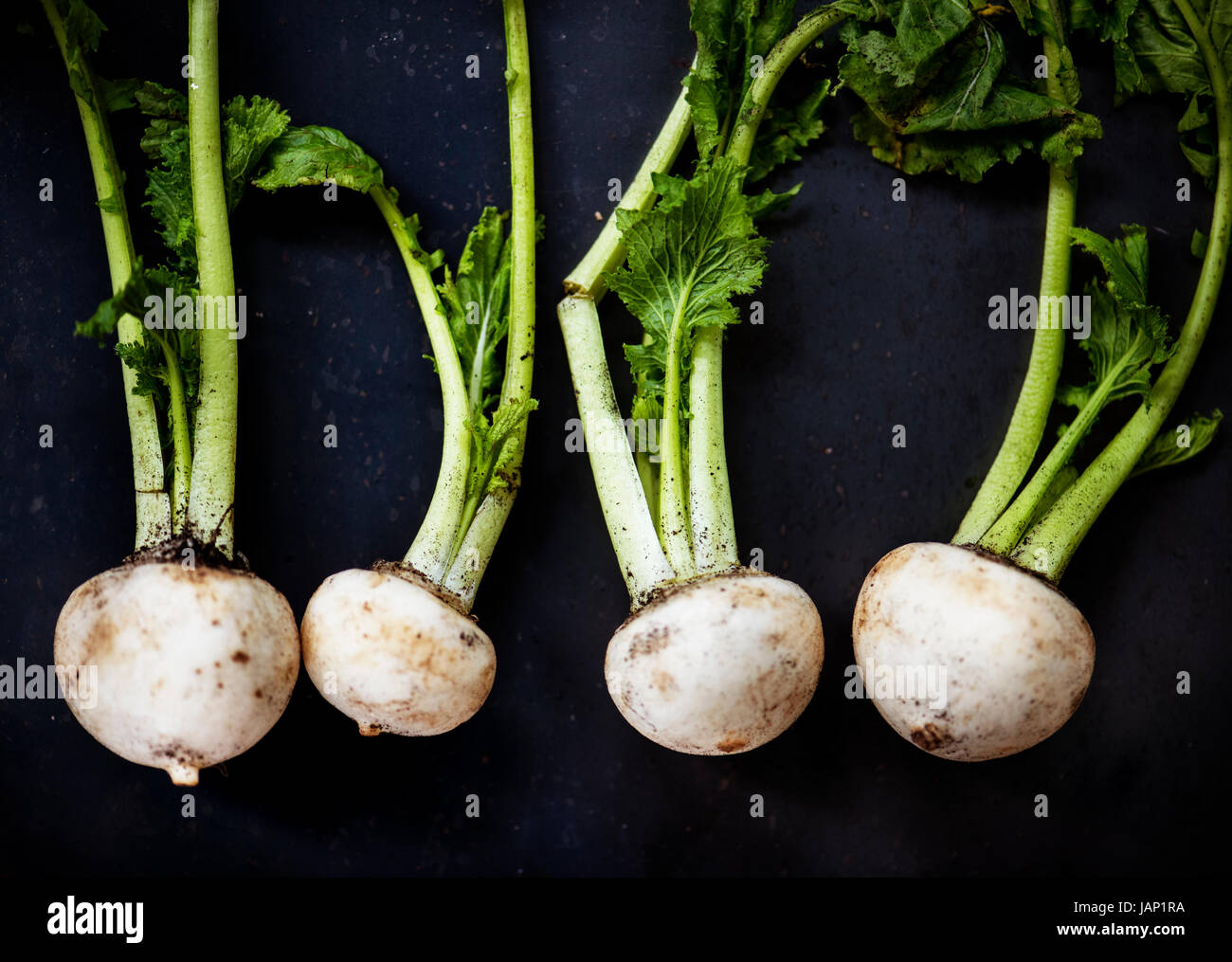 Closeup of white turnips on black background Stock Photo - Alamy