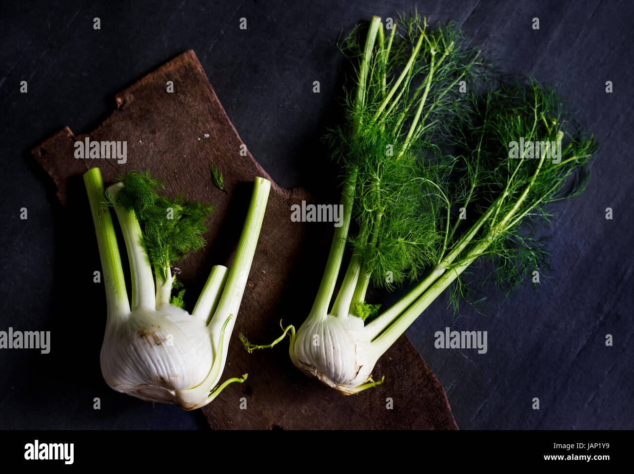 Aerial view of fresh funnel vegetable on black background Stock Photo ...