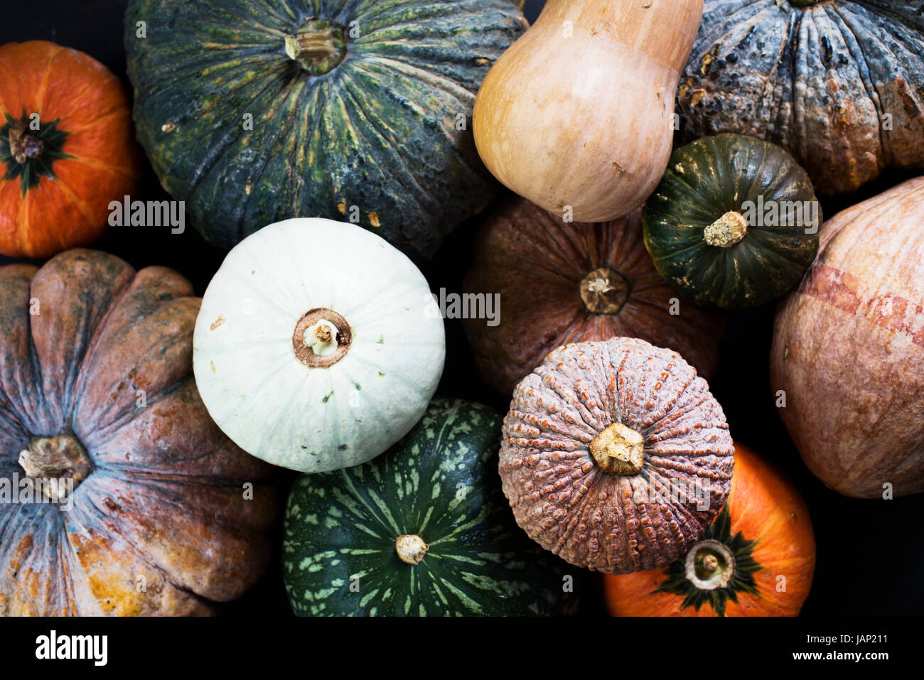 Aerial view of diverse fresh pumpkins Stock Photo - Alamy