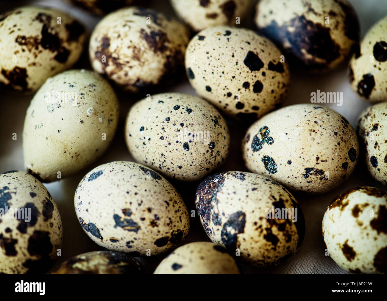 Closeup of fresh organic quail eggs Stock Photo - Alamy