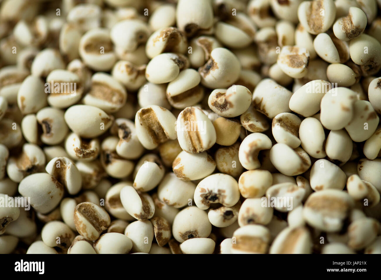 Jobs tears seeds hi-res stock photography and images - Alamy