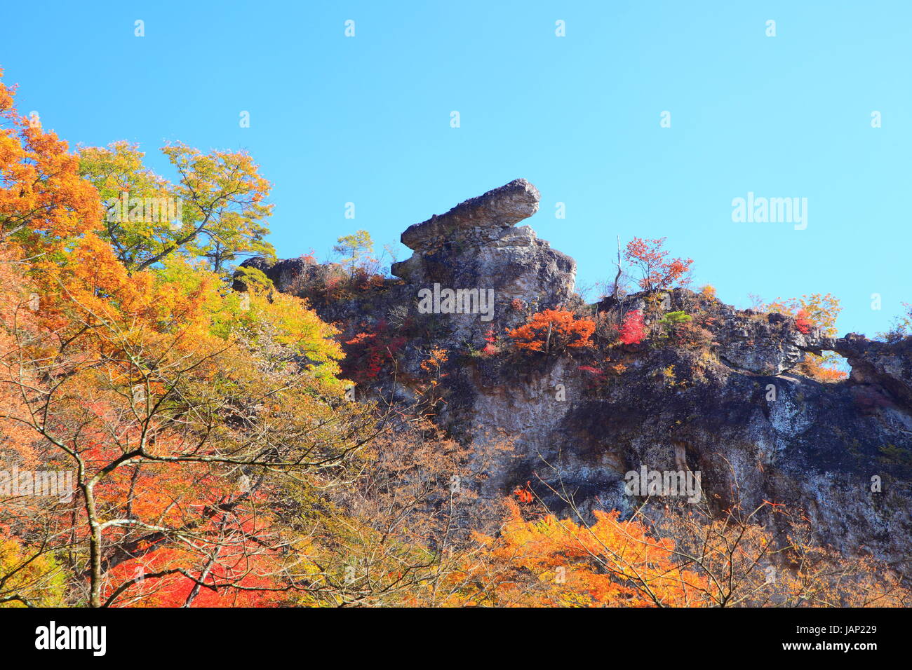 Autumn colours of Mt. Myogi, Cannon stone, Gunma, Japan Stock Photo - Alamy