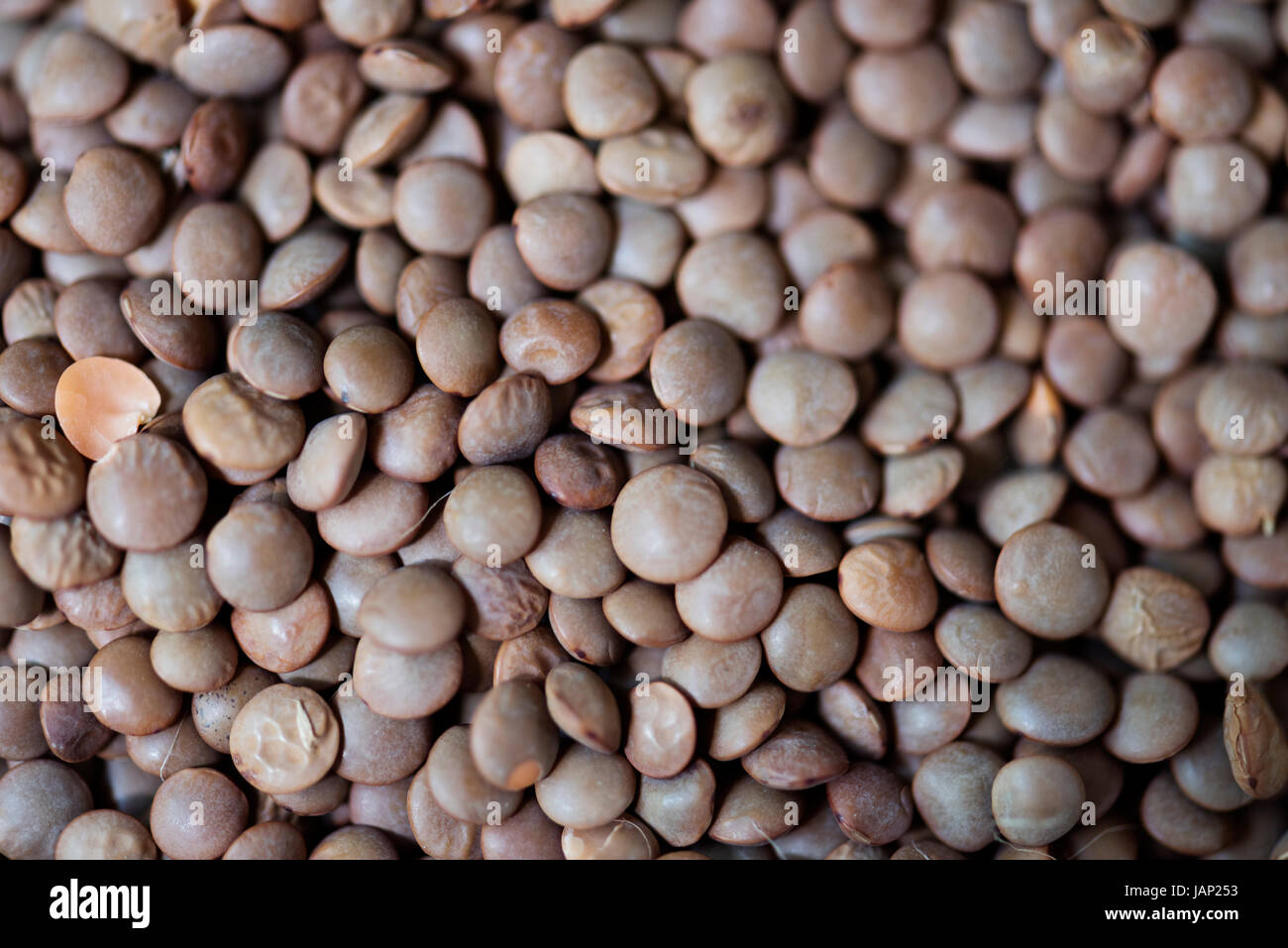 Closeup of lentils seed product fresh Stock Photo - Alamy