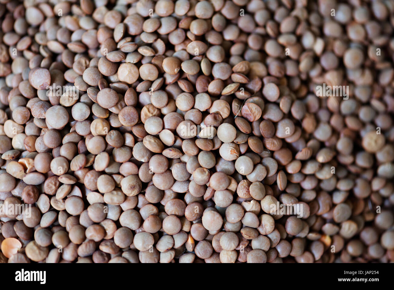 Closeup of lentils seed product fresh Stock Photo - Alamy
