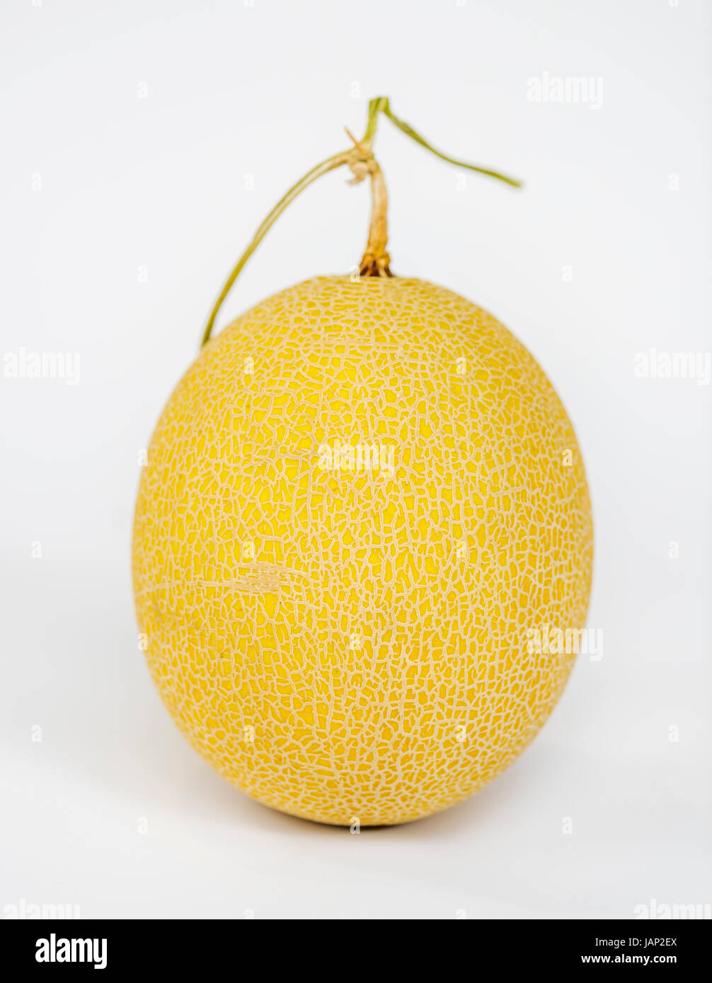 Real melon hi-res stock photography and images - Alamy