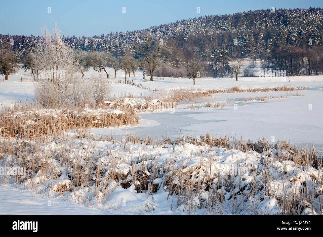 idyllic winter landscape in thuringia Stock Photo - Alamy