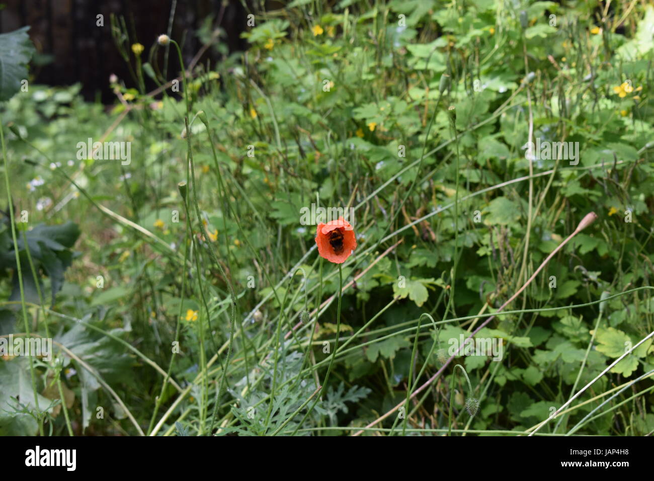 Colliers Wood Tower High Resolution Stock Photography and Images - Alamy