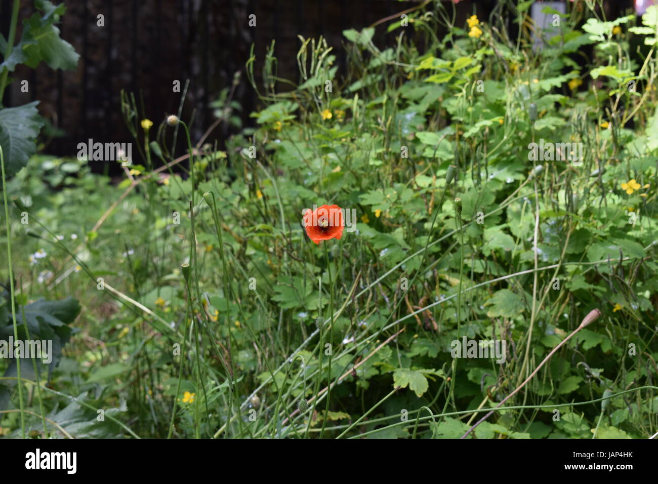 Colliers Wood Tower High Resolution Stock Photography and Images - Alamy