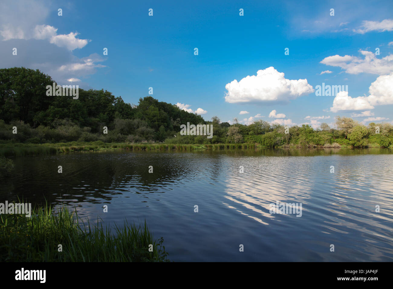 Sologne forest hi-res stock photography and images - Alamy
