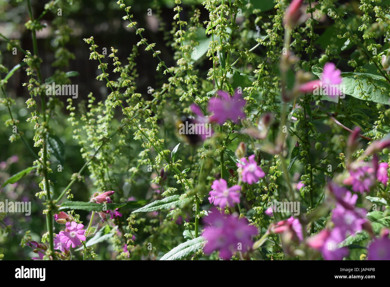 Colliers Wood Tower High Resolution Stock Photography and Images - Alamy