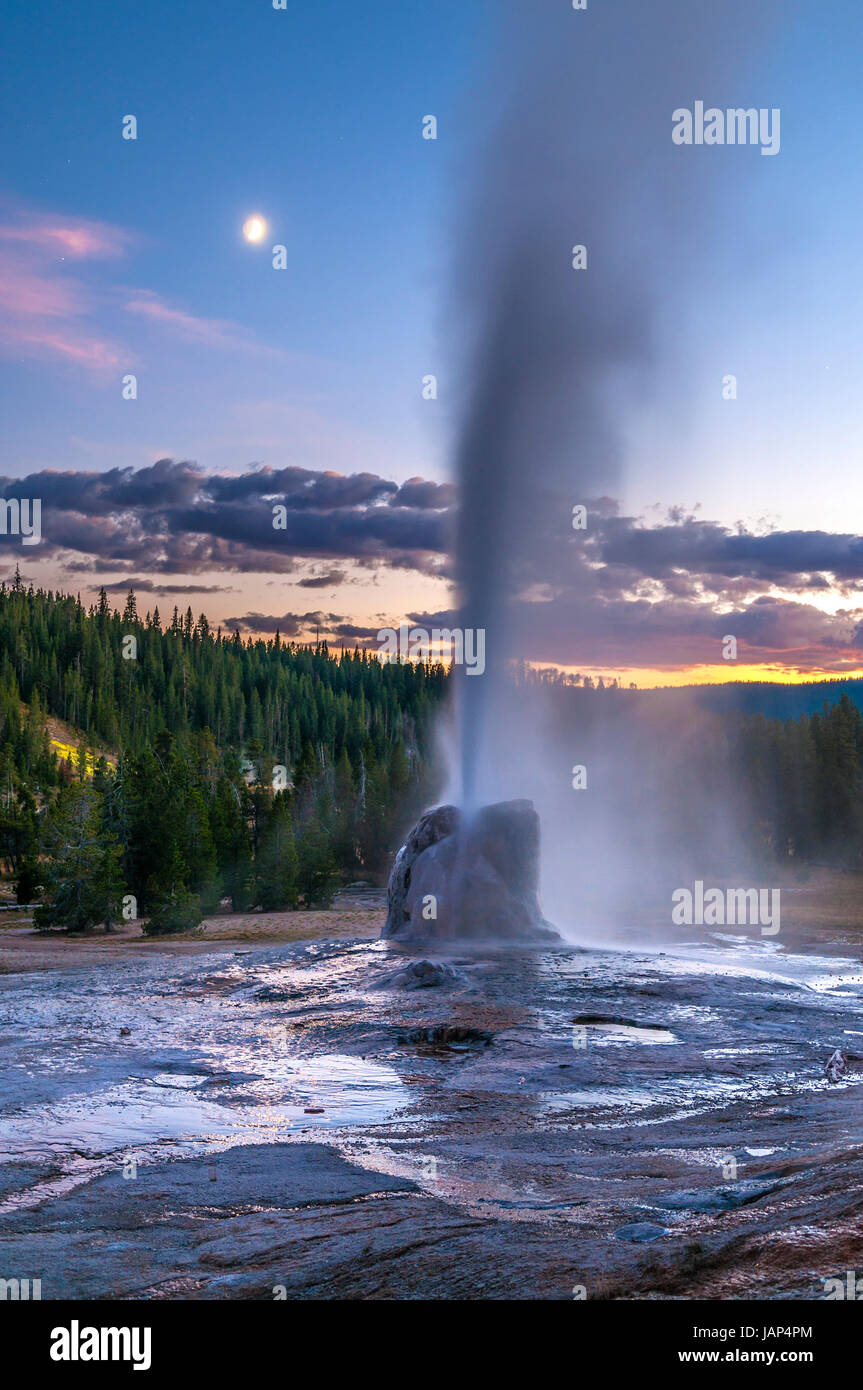 Spectacular Lone Star Geyser during Eruption - Yellowstone Stock Photo ...