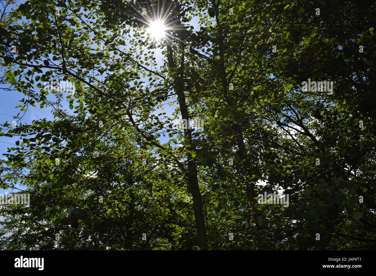 Colliers Wood Tower High Resolution Stock Photography and Images - Alamy