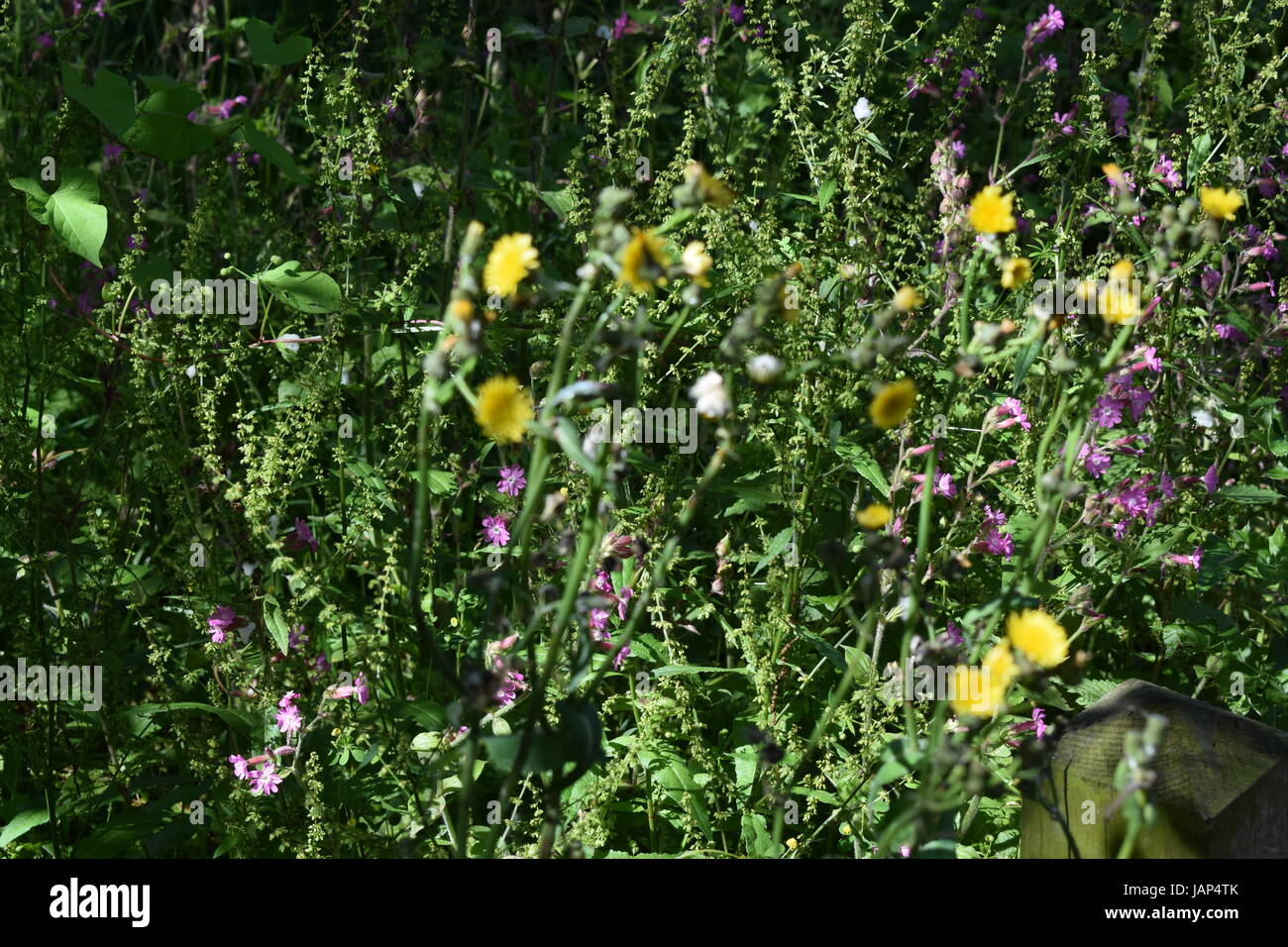 Colliers Wood Tower High Resolution Stock Photography and Images - Alamy