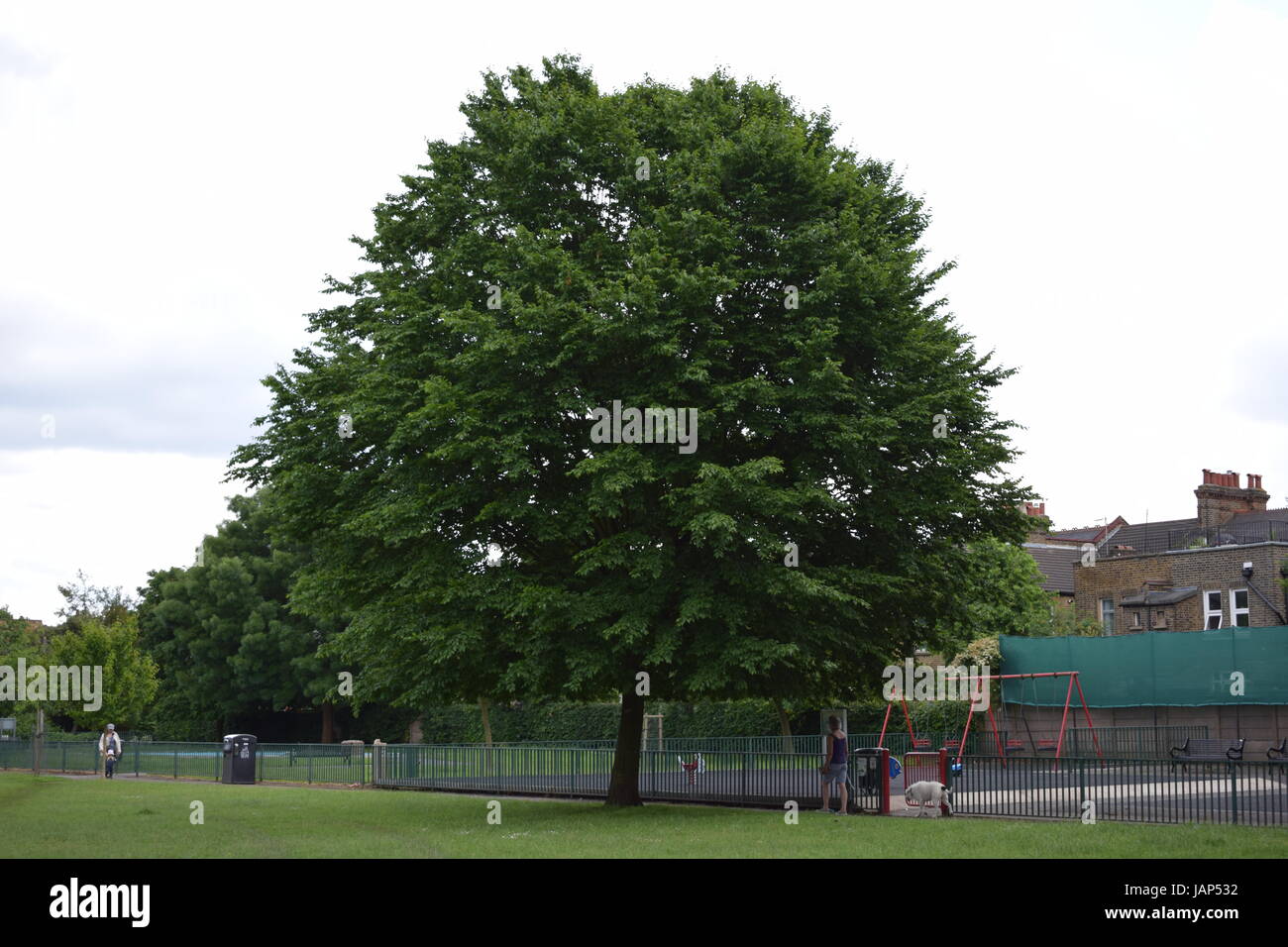 Colliers Wood "016 Stock Photo - Alamy