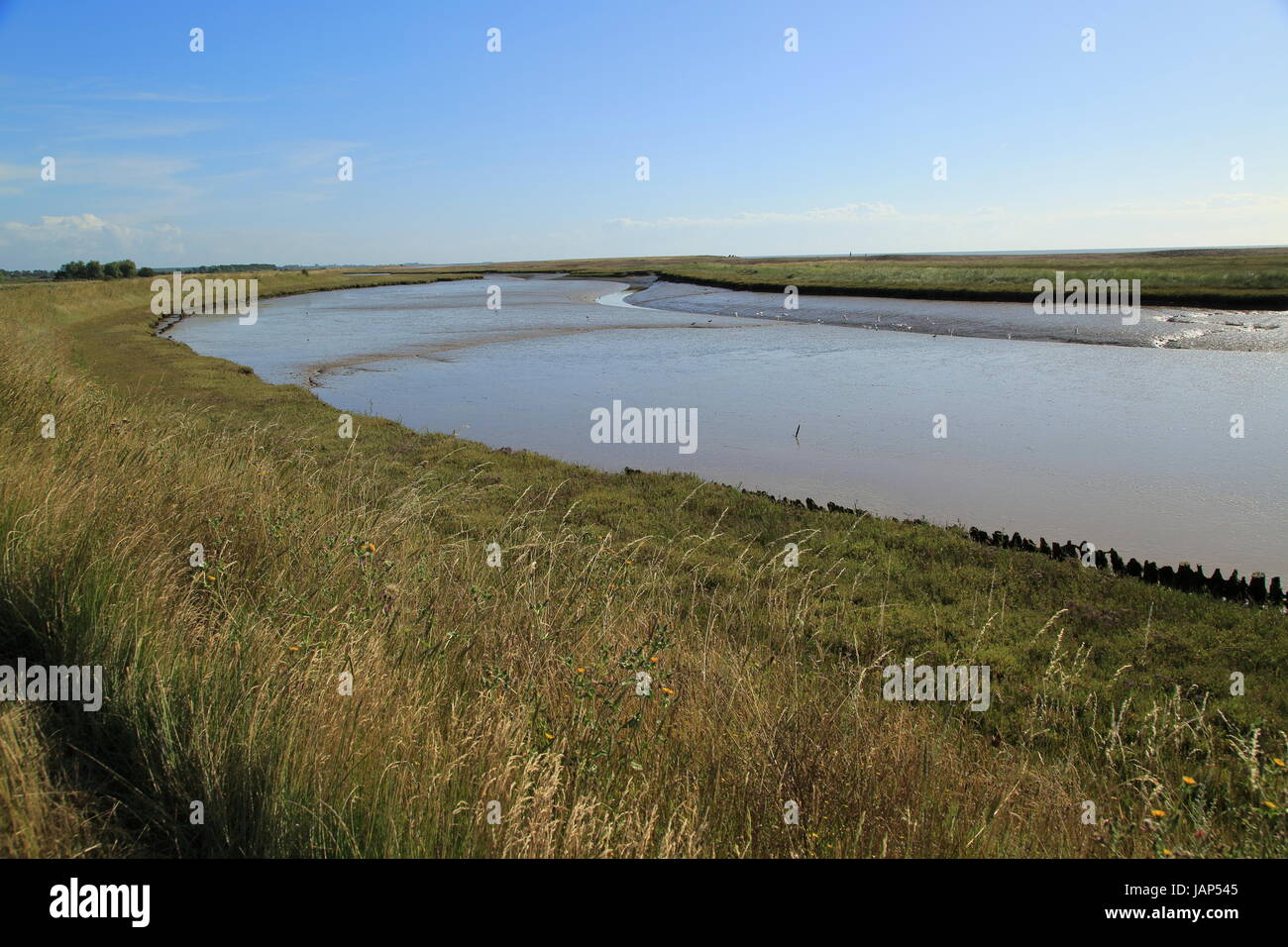 River Ore salt marsh coastal landscape, Hollesley, Suffolk, England, UK ...