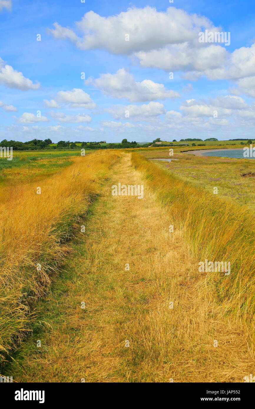 Boyton marshes suffolk hi-res stock photography and images - Alamy
