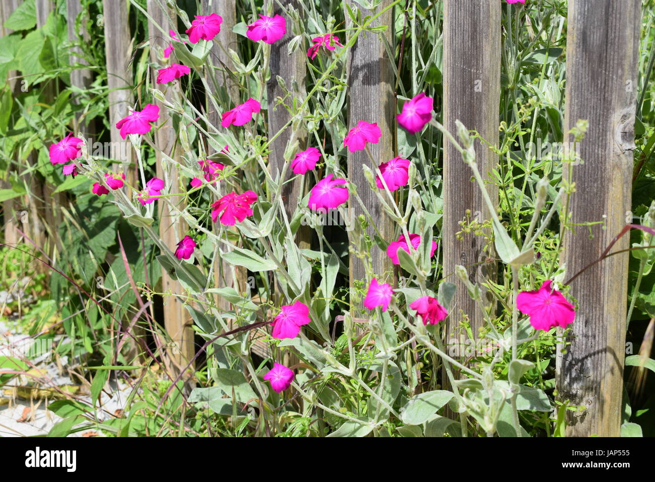 Colliers Wood Tower High Resolution Stock Photography and Images - Alamy