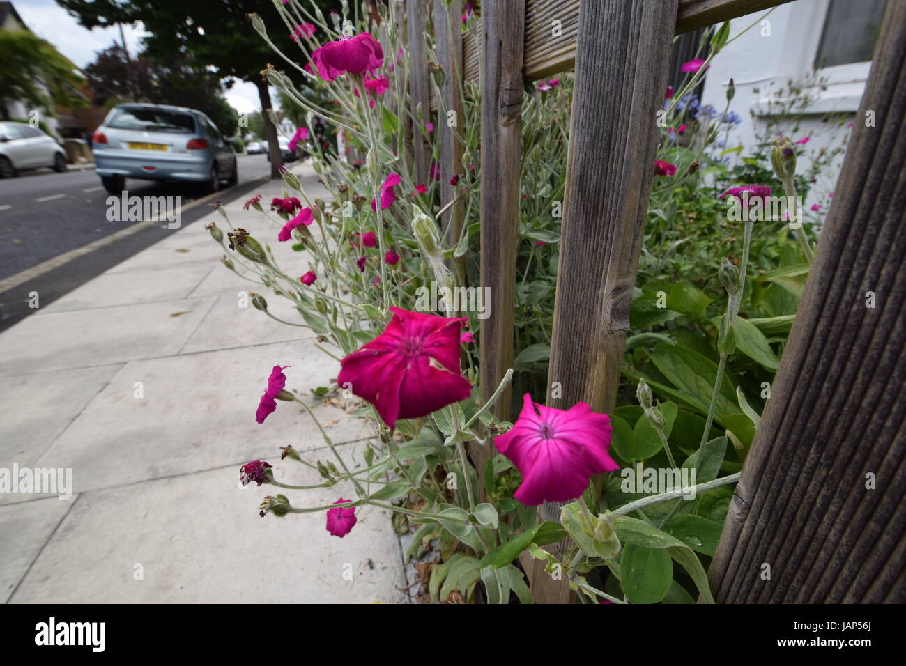 Colliers Wood "016 Stock Photo - Alamy