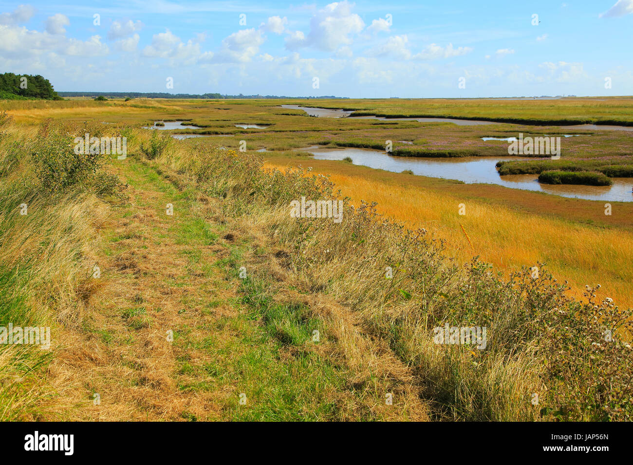 River Ore salt marsh and Orford Ness spit, looking north towards Orford ...