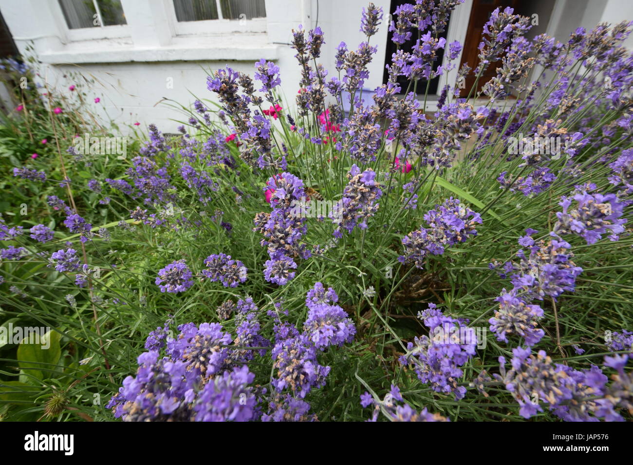 Colliers Wood Tower High Resolution Stock Photography and Images - Alamy