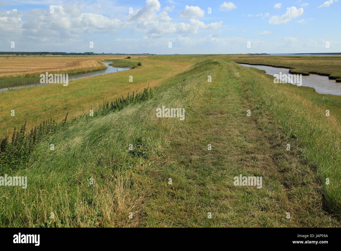 River Ore salt marsh coastal landscape, Hollesley, Suffolk, England, UK ...