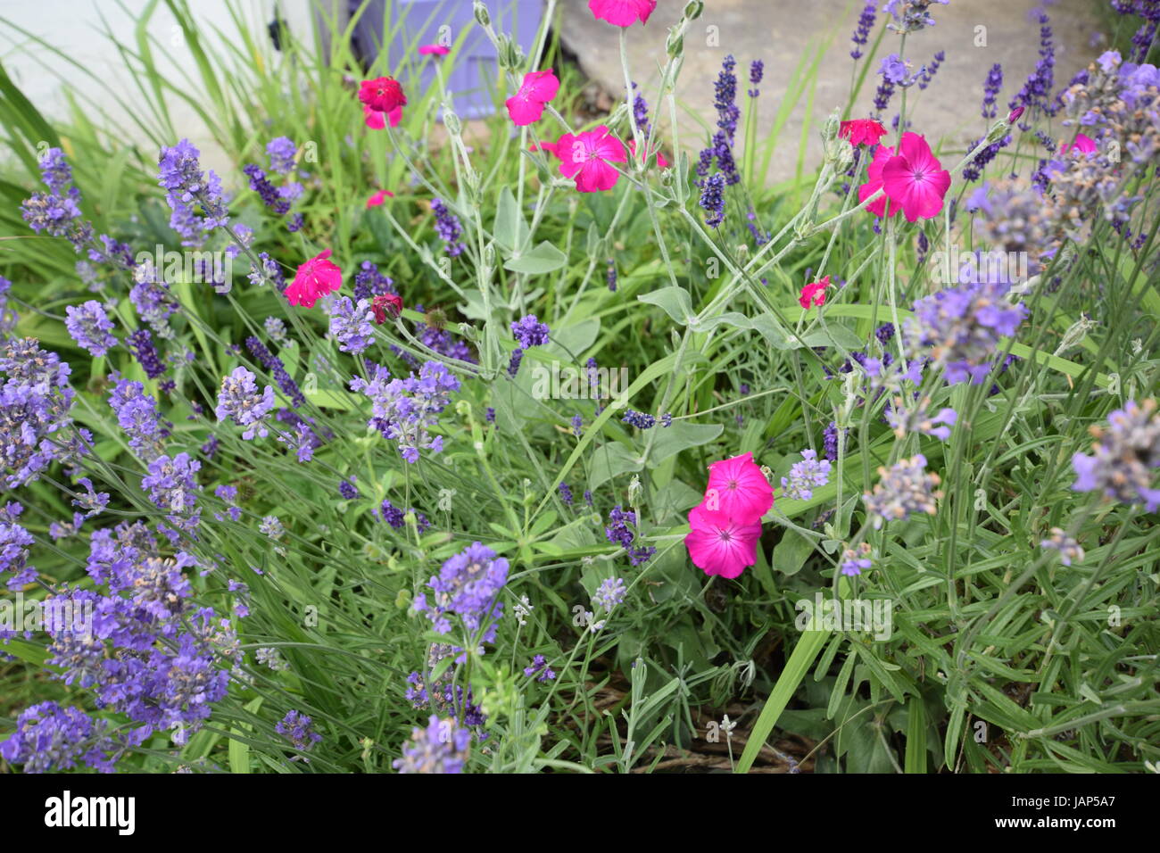 Colliers Wood "016 Stock Photo - Alamy